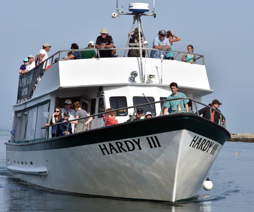 About The Hardy III | Hardy Boat Cruises